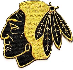 Amazon.com: Nipitshop Patches Brown Indian American Native Chief Head ...