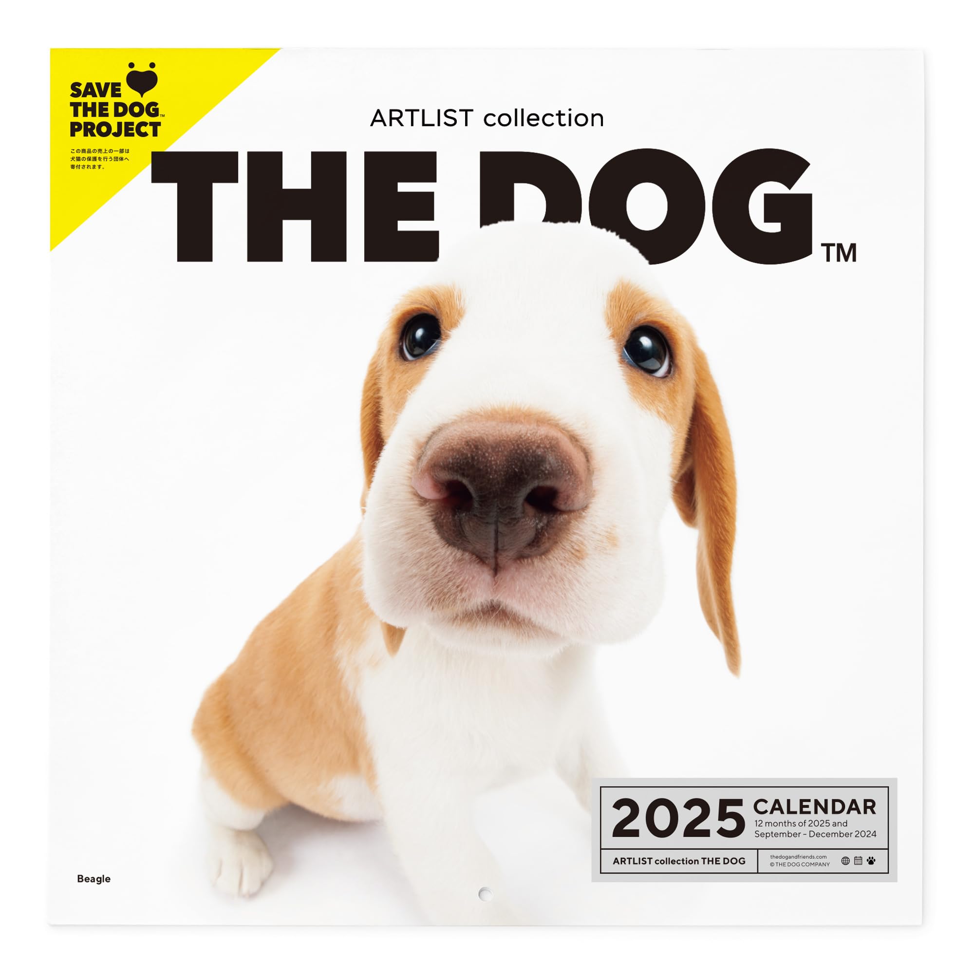 Amazon.com: [ArtlistCollectionTHE DOG] Wall Calendar ≪Beagle≫ from ...