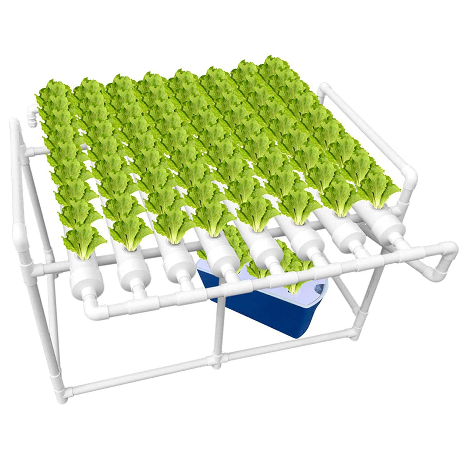 Pvc Pipe To Grow Lettuce Indoor Hydroponic Project Lettuce Growing Kit