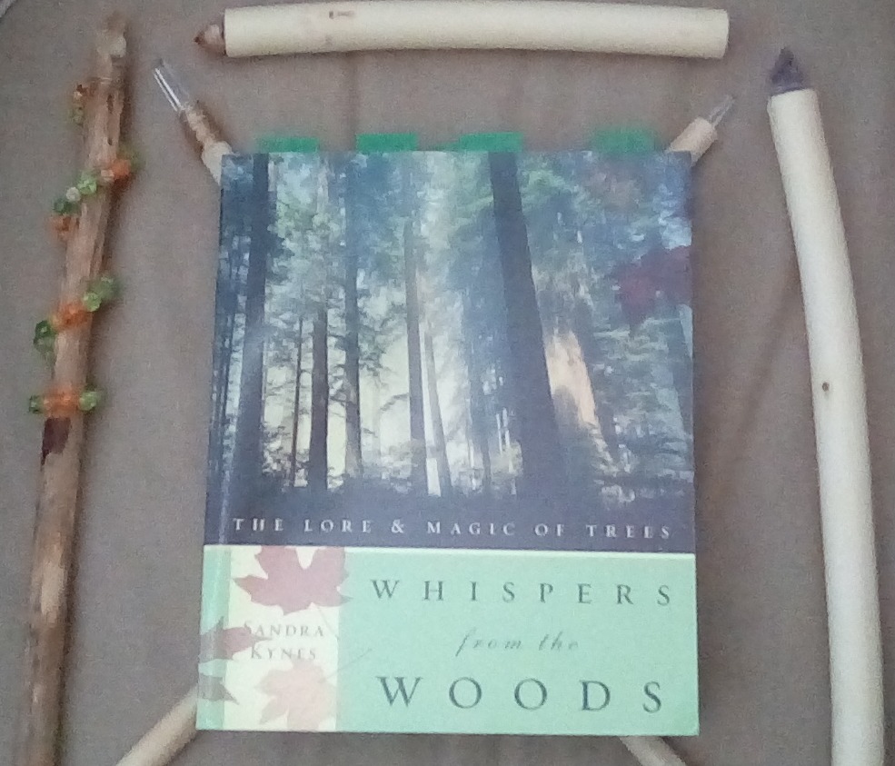 Whispers from the Woods: The Lore & Magic of Trees: Kynes, Sandra ...