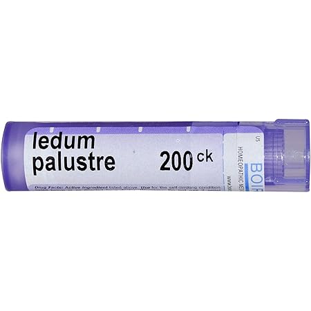 Amazon.com: Boiron Ledum Palustre 200Ck Homeopathic Medicine for Insect ...