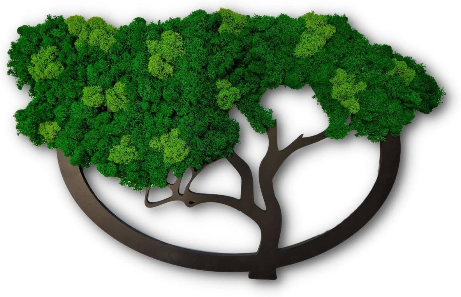 Amazon.de: naturewalls Moospaneel - Mooswand DIY - Moosplatte aus ...