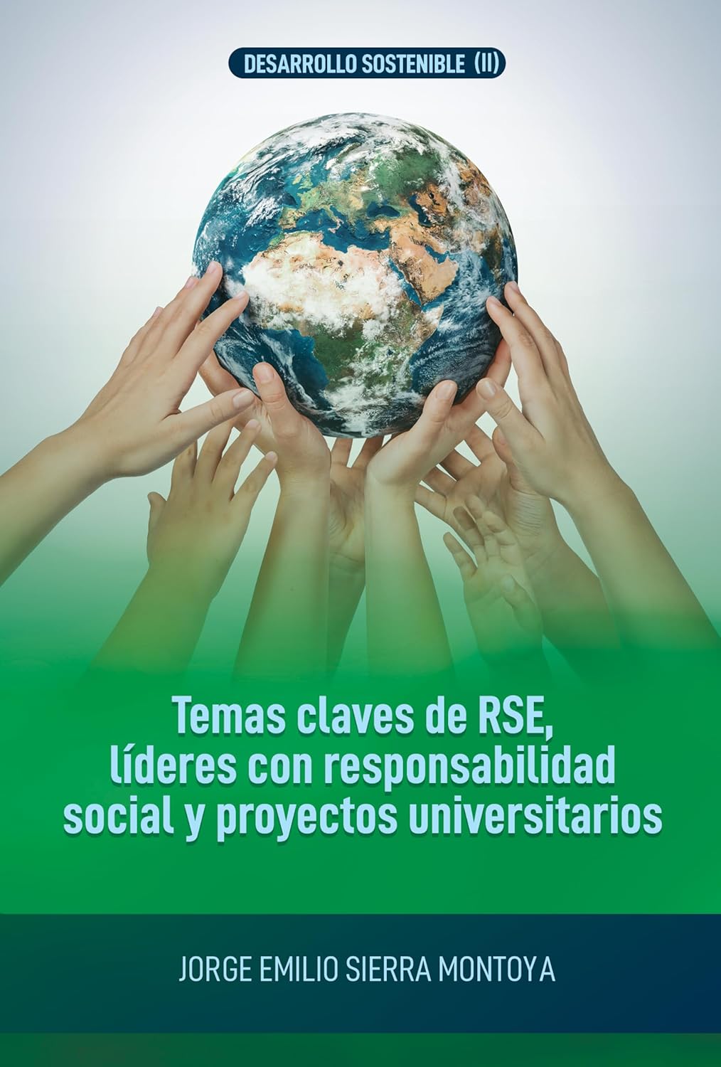 Amazon.com: Temas claves de RSE, líderes con responsabilidad social y ...