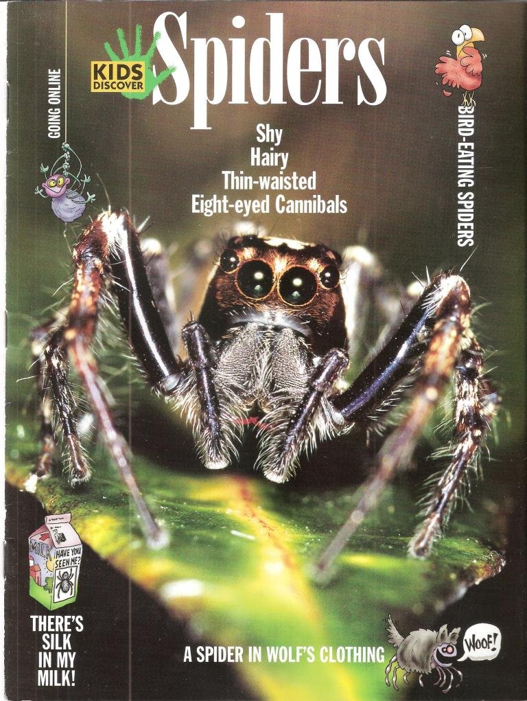 Kids Discover Spiders February 2003: Stella Sands: Amazon.com: Books
