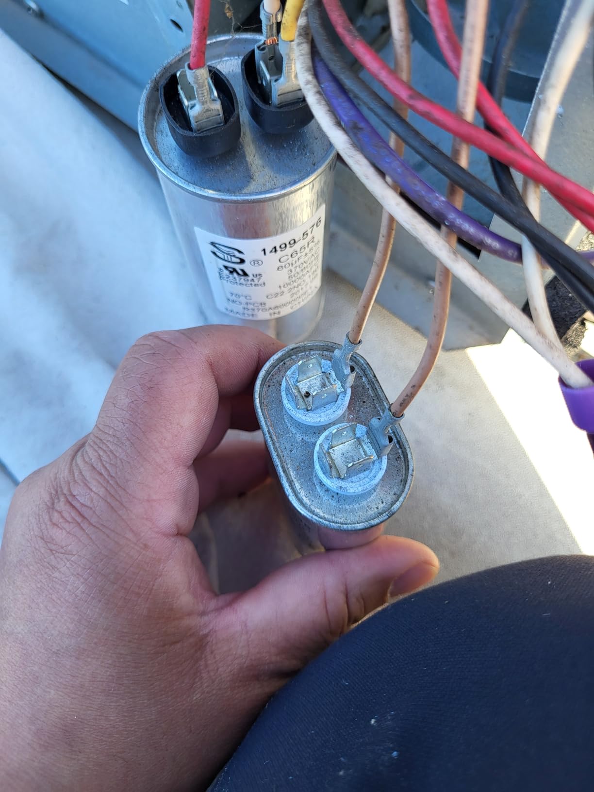 Amazon.com: Fan Capacitor for Coleman Air Conditioners 1499-5461 : Home ...