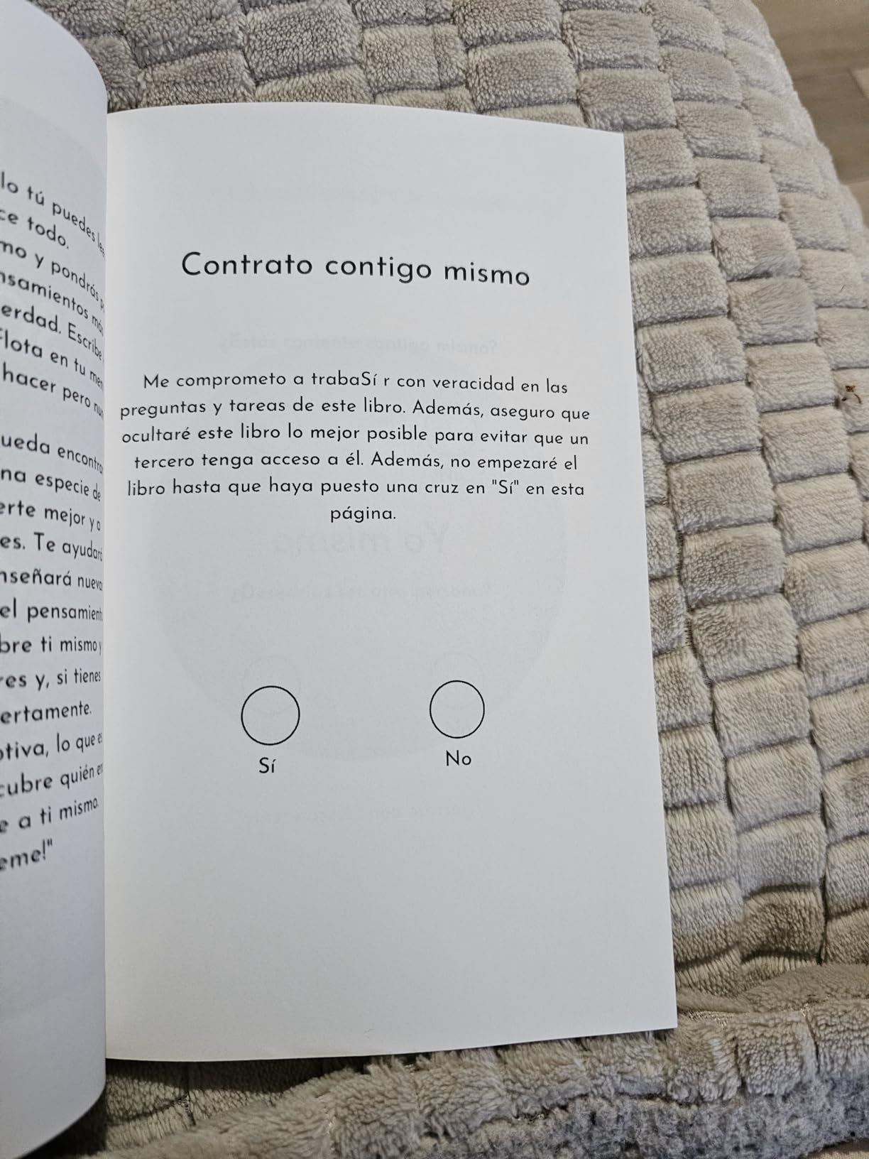 ¡Escóndeme!: Sólo tú puedes leer este libro : Mispelbaum, Theresa ...