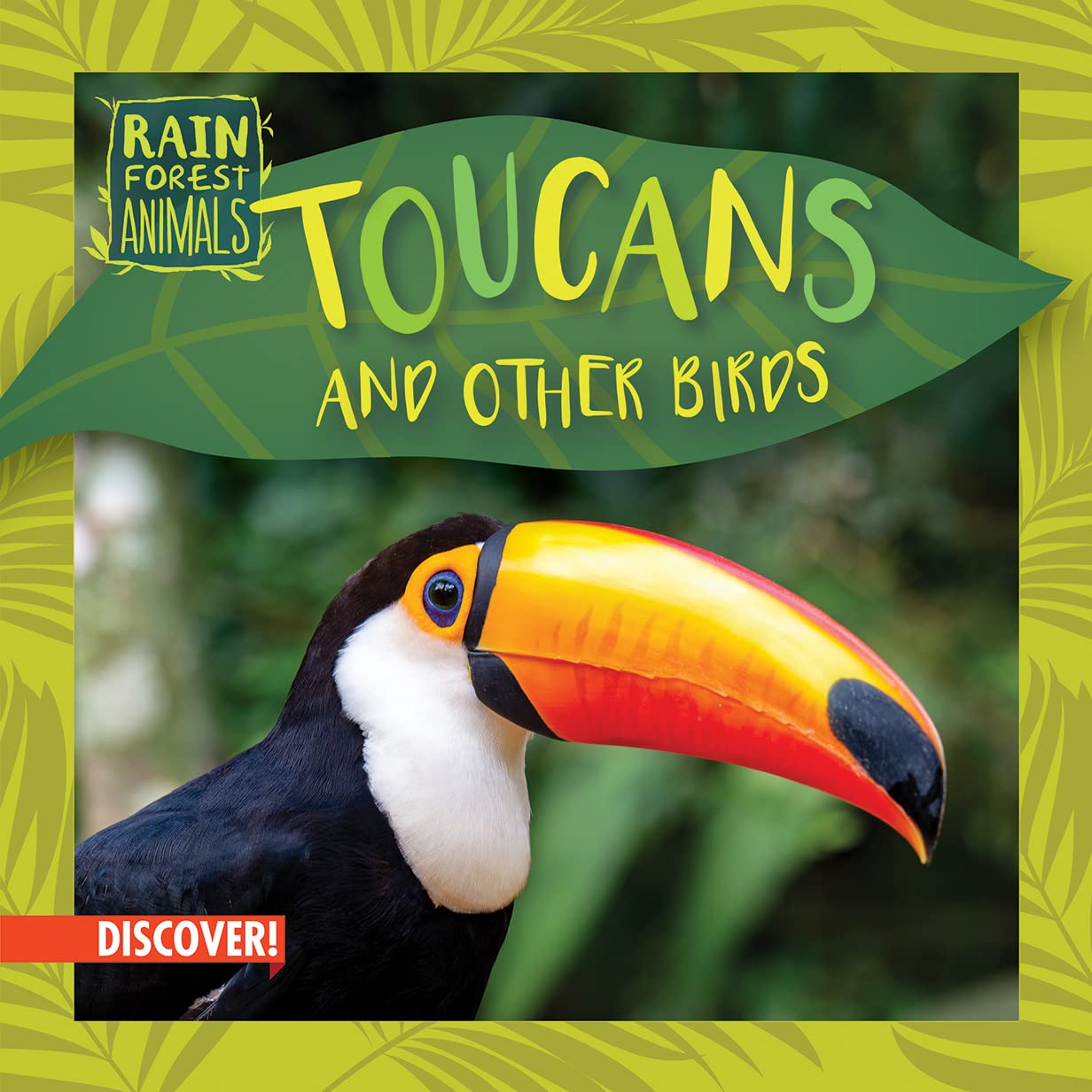 Toucans and Other Birds (Rain Forest Animals): Fowler, Leona ...