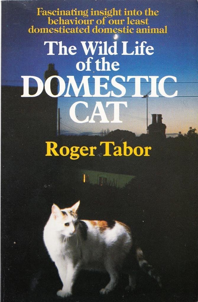 The wild life of the domestic cat: Tabor, Roger: 9780099312109: Amazon.com: Books