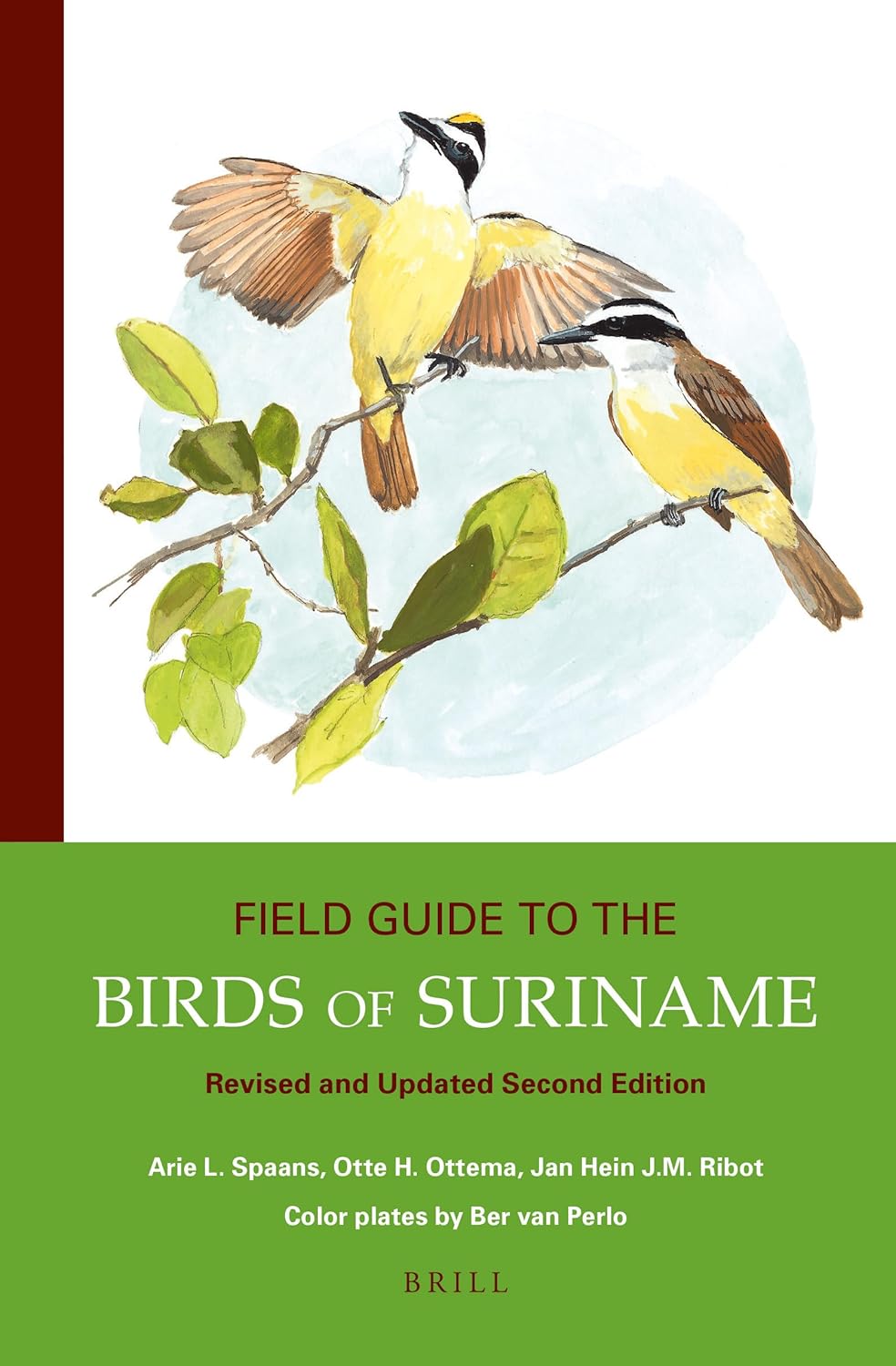 Amazon.com: Field Guide to the Birds of Suriname (Fauna of Suriname ...