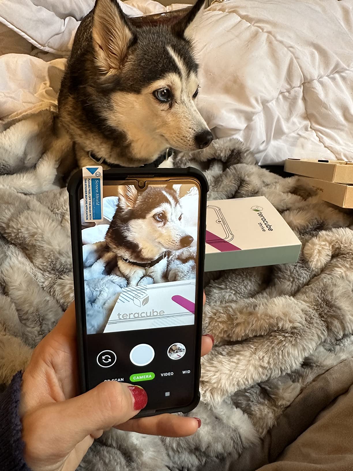 $22/mo - Finance Teracube Thrive Kids Smart Phone – Safe Android Phone ...