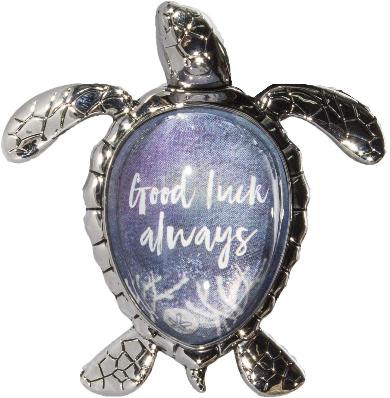 Amazon.com: Inspirational Zinc Sea Turtle Figurine - Good Luck Always ...