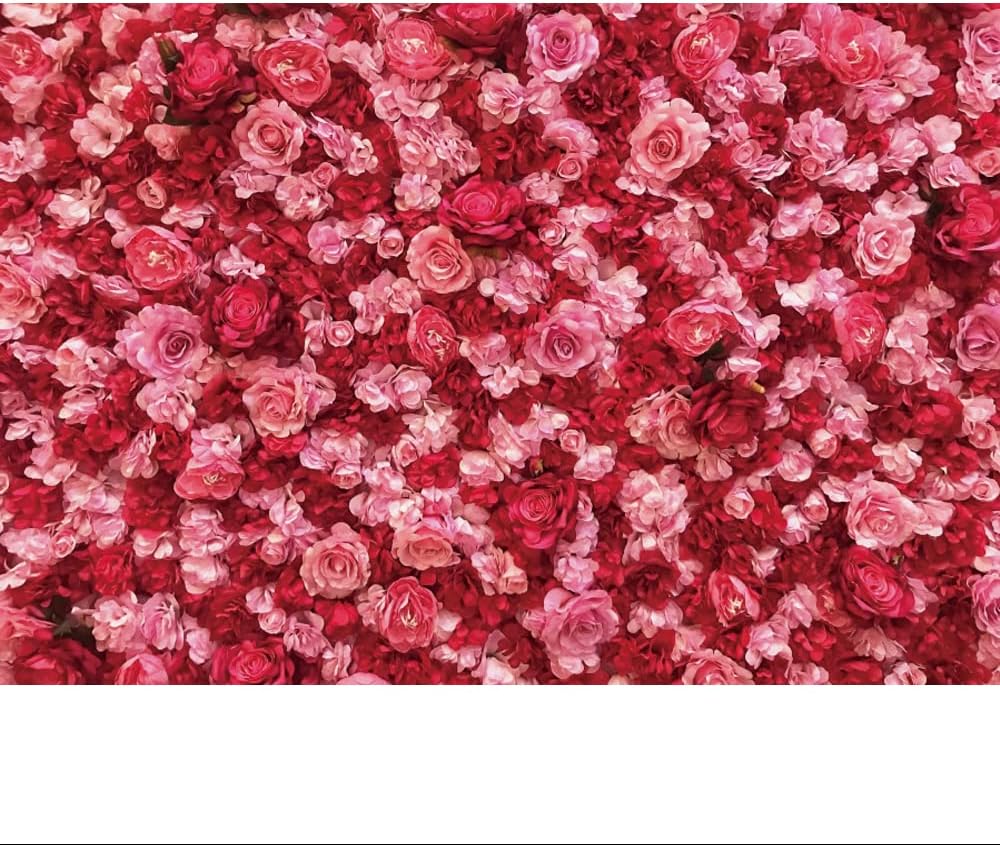 Amazon.com : Renaiss 10x8ft Pink Red Rose Backdrop Flower Wall Wedding ...