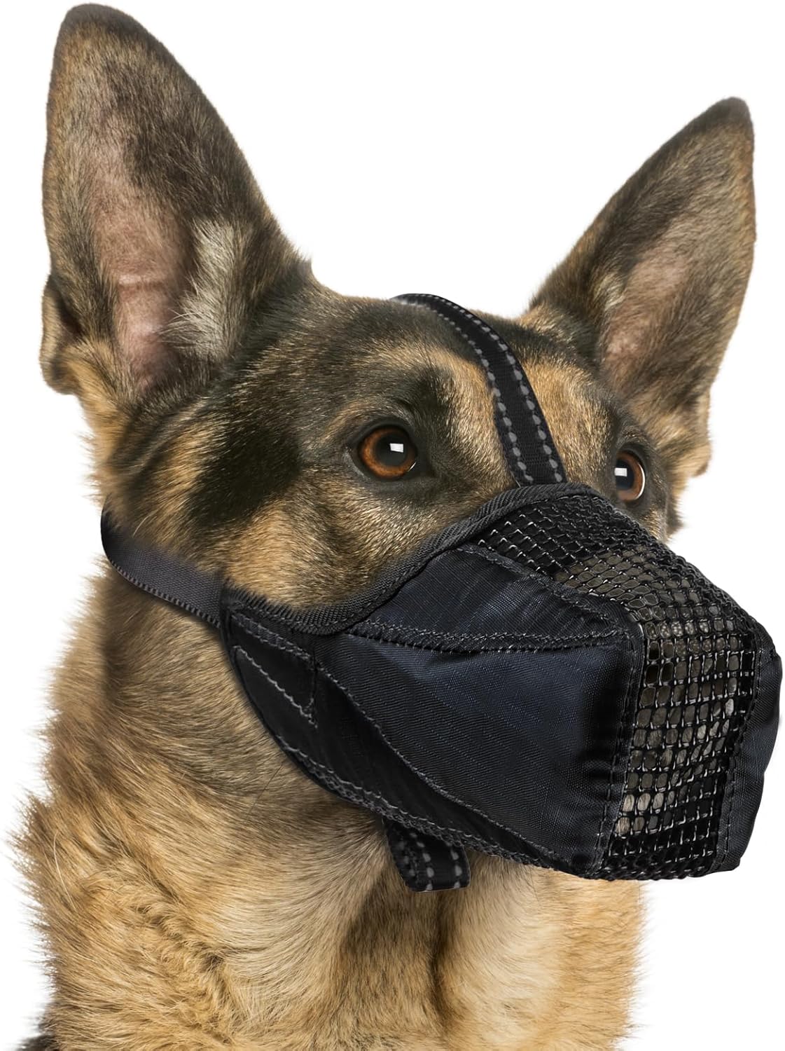 Amazon.com : Pawfun Dog Muzzle, Soft Mesh No Barking Pet Muzzles for ...