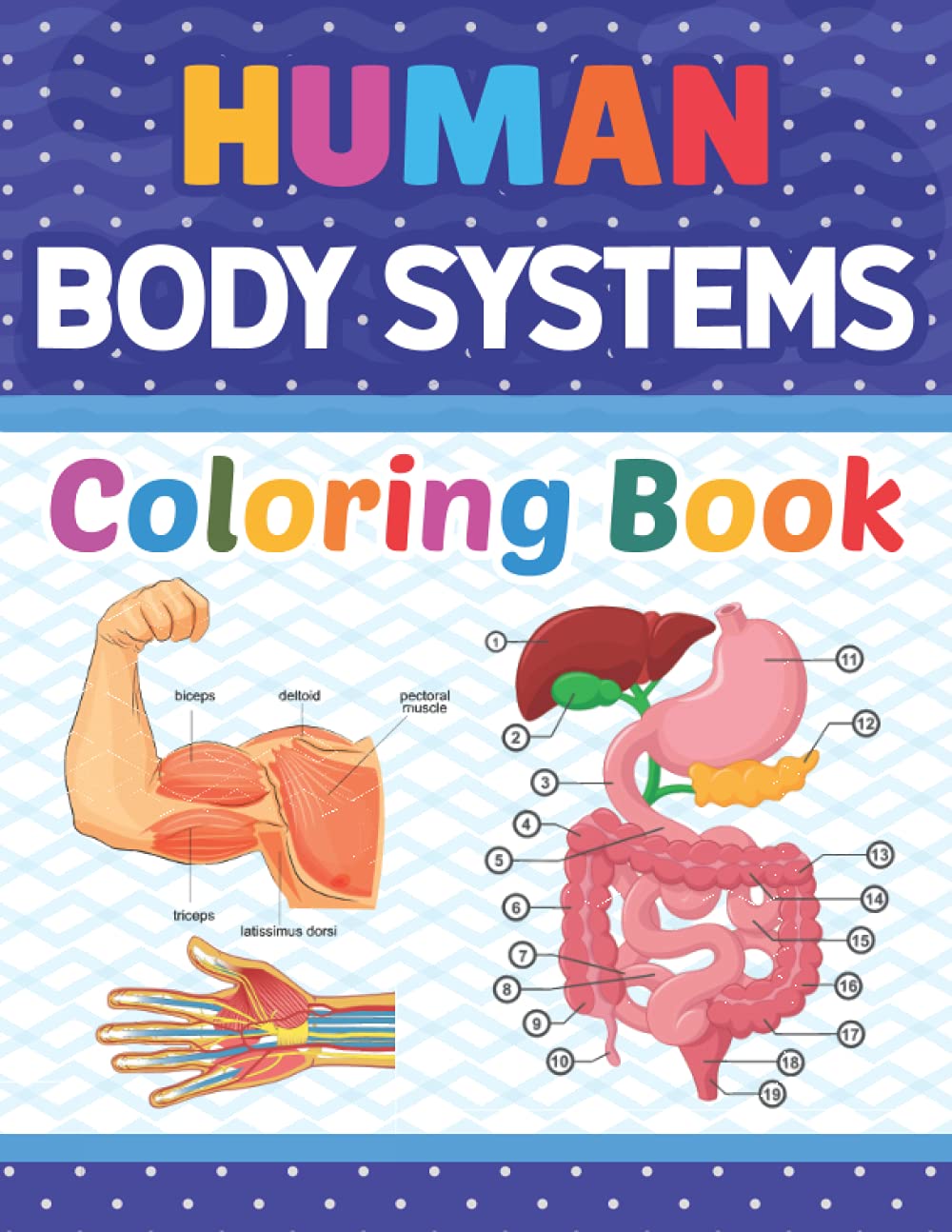 Buy Human Body Systems Coloring Book: Learn Human Body Systems With Fun ...
