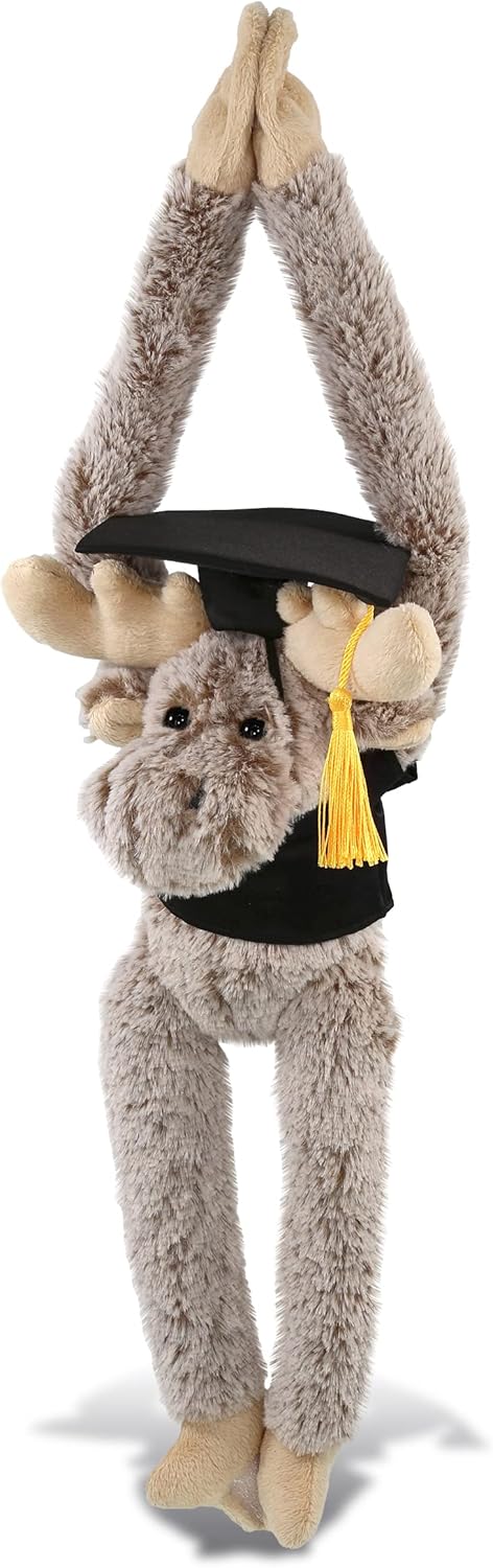 Amazon.com: DolliBu Long Arms Moose Graduation Plush Toy - Super Soft ...