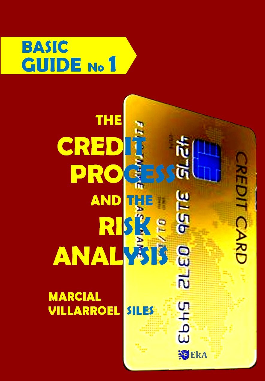 BASIC GUIDE The Credit Process and the Risk Analysis (Analysis of ...