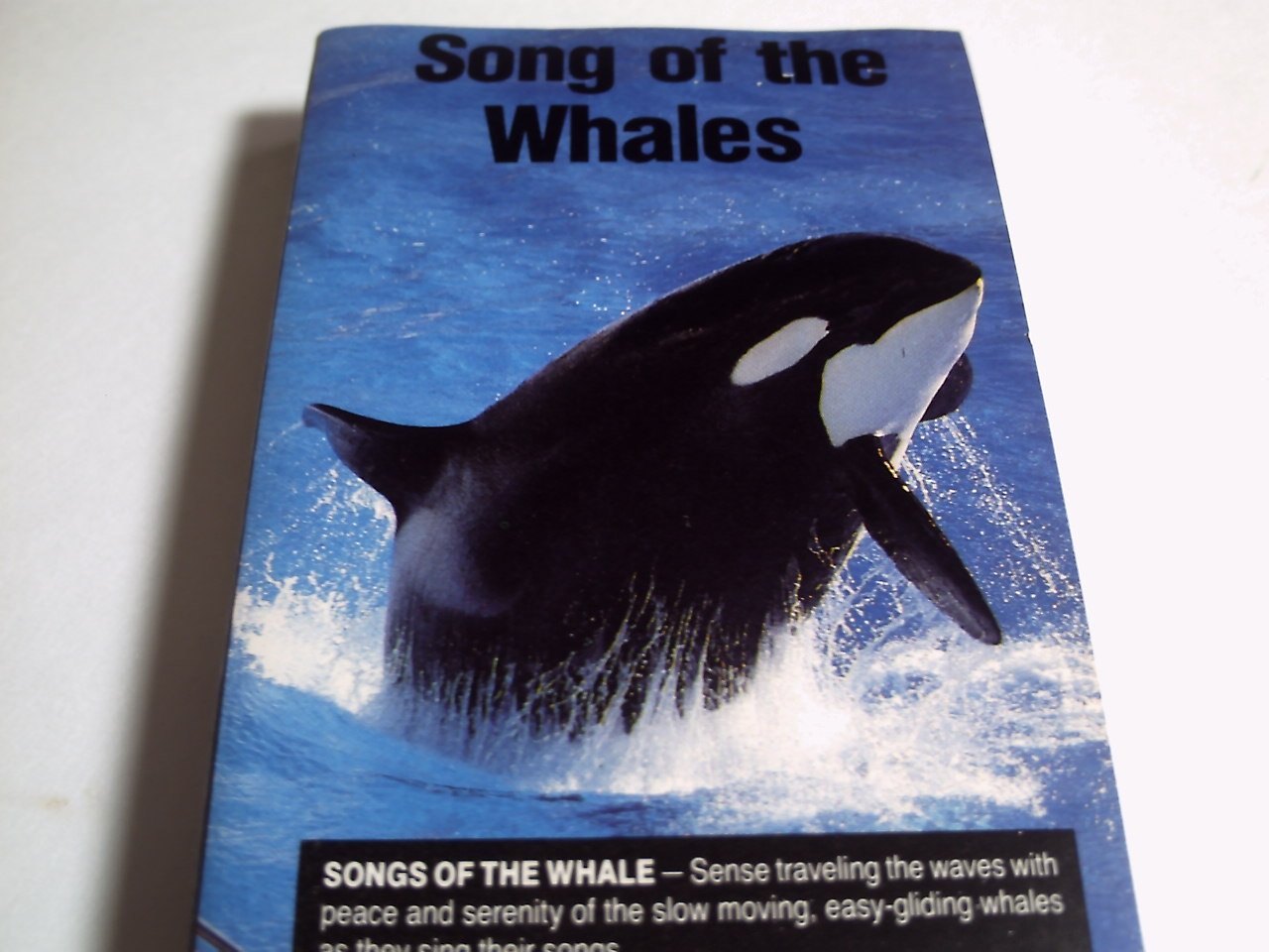 Song Of The Whales - Amazon.com Music