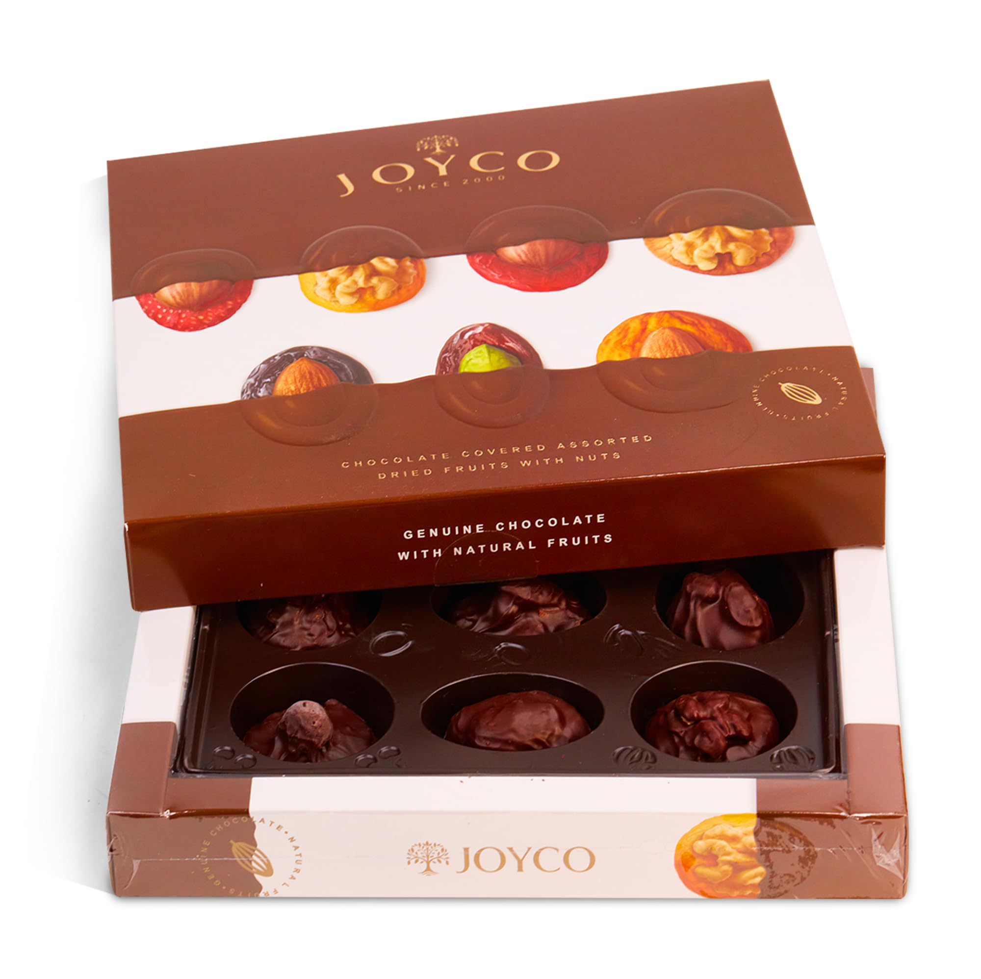 Amazon.com : JOYCO Chocolate-Covered Assorted Dried Fruits with Nuts - 9 Pieces per Pack - 157g ...