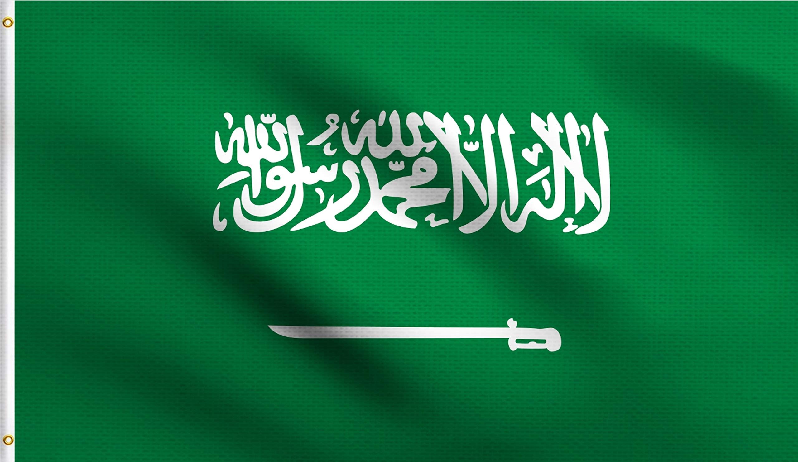Amazon.com : DANF Saudi Arabia Flag 3x5 Ft Thick Polyester, Fade ...