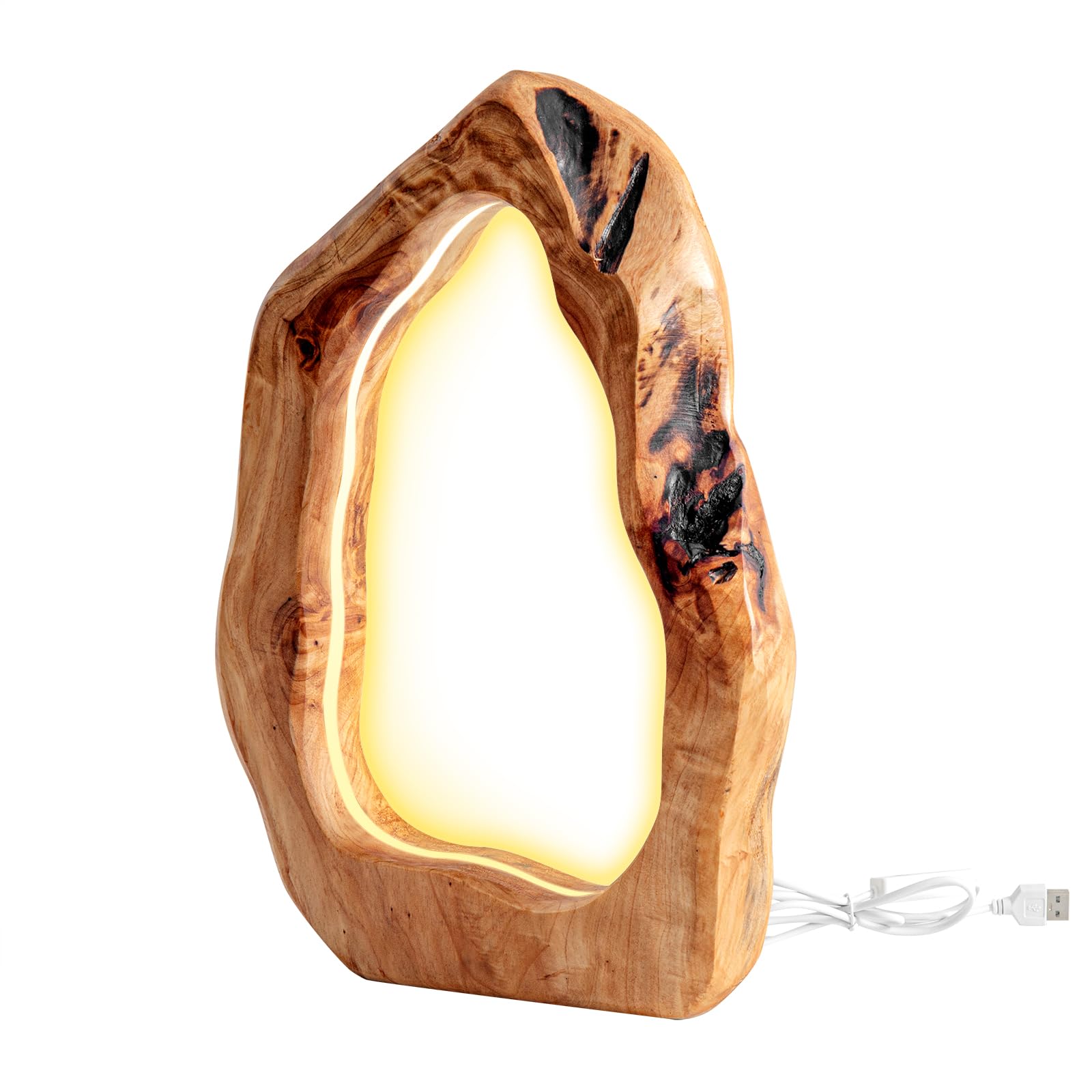 LAPTAIN LED Wood Table Lamp, Irregular Bedside Lamp with Dimmable ...