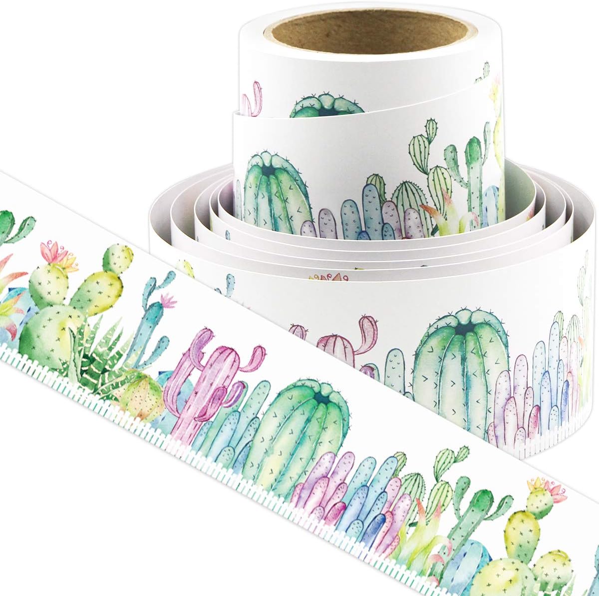 Amazon.com: Watercolor Cactus Bulletin Board Borders Straight Border ...