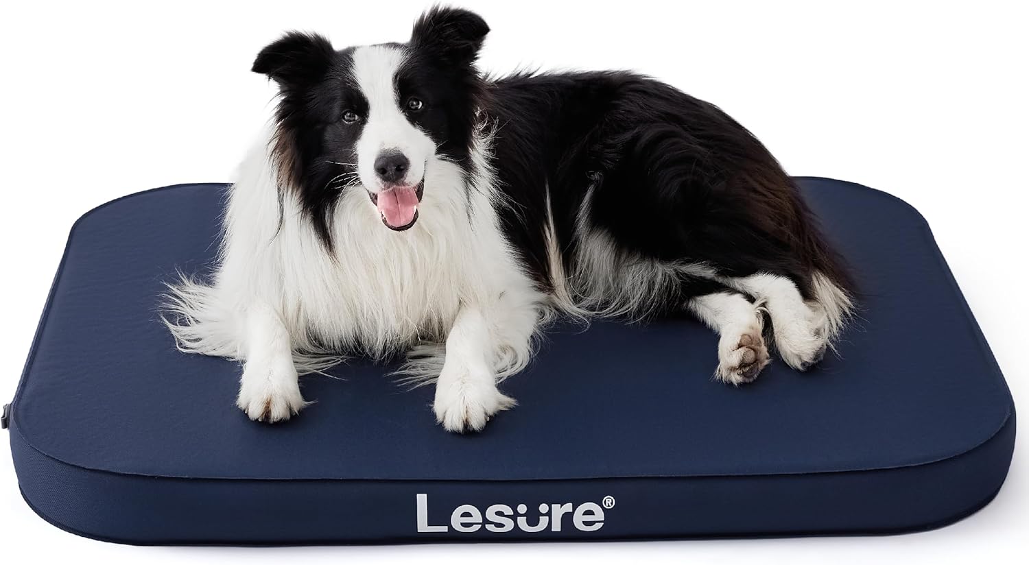 Amazon.com : Lesure Inflatable Waterproof Dog Bed, Portable Outdoor ...