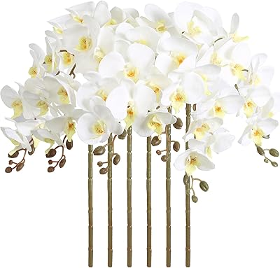 Amazon.com: CXGS Artificial Orchid Flower 9 Large Petals Realistic ...