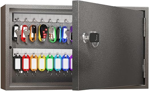 WeHere Key Lock Box for 60 Keys, Wall Mount Key Cabinet with Color Key ...