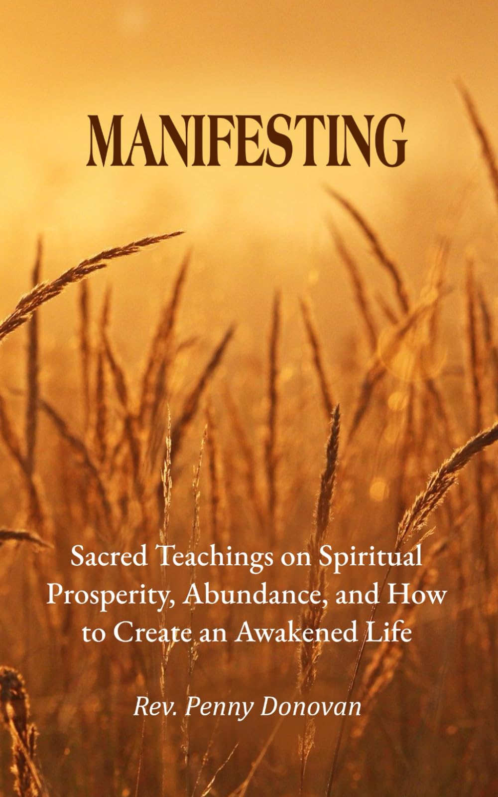 Manifesting: Sacred Teachings on Spiritual Prosperity, Abundance, and ...