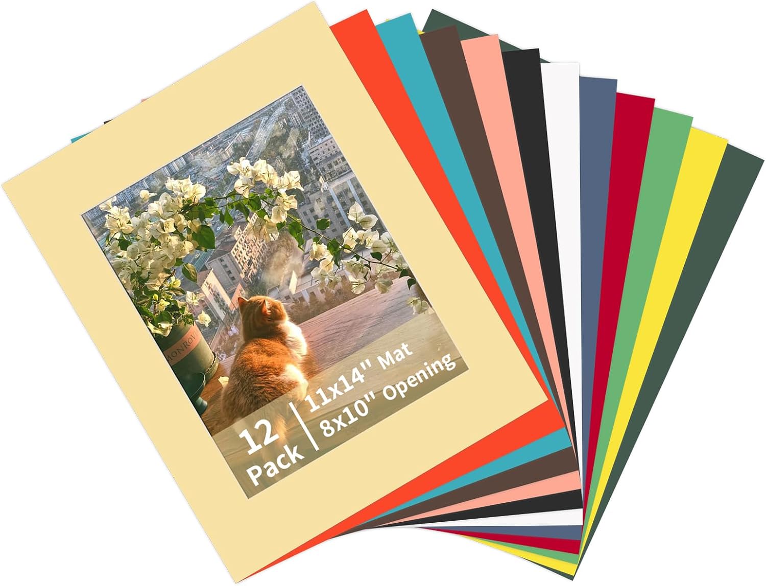 ZBEIVAN 12 Packs Mixed Colors 11x14 Picture Frame Mats for 8x10 Photos ...