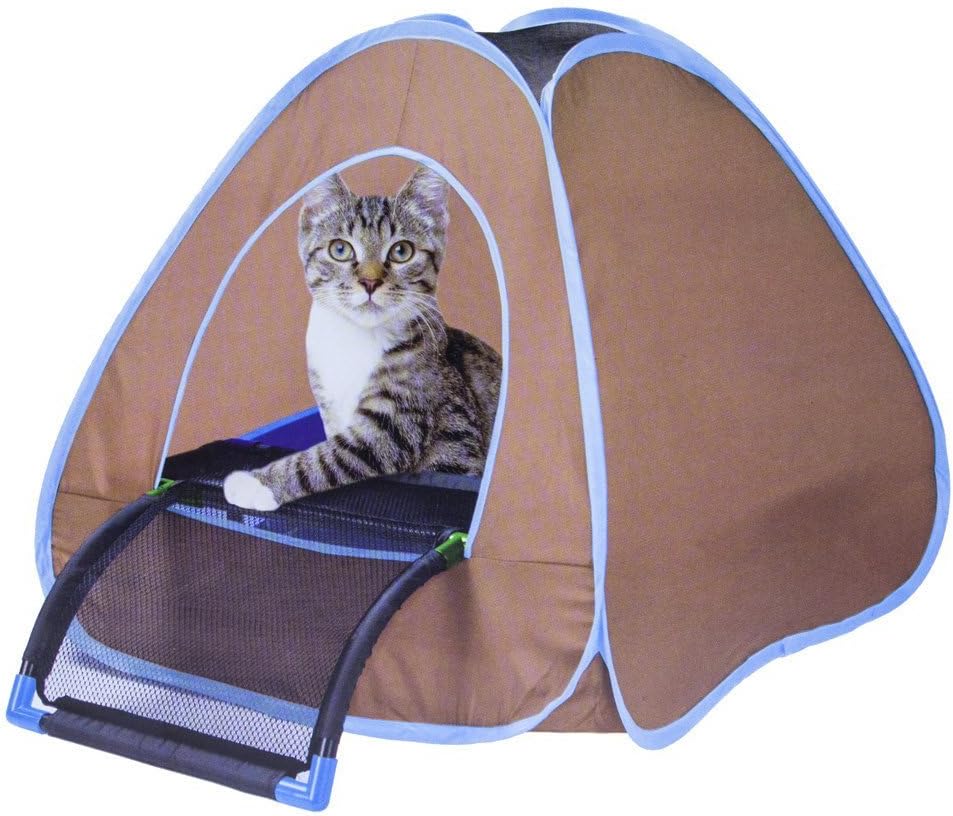 Amazon.com : Sport Pet Designs Cat Privacy Tent. Litter, Tent ...
