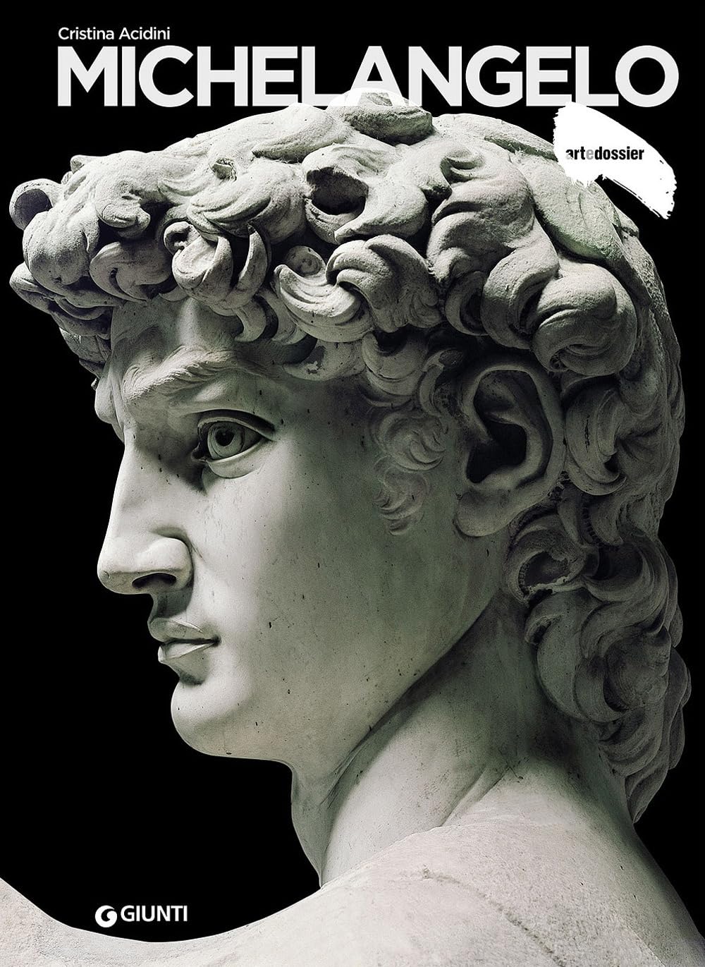 Michelangelo Book Amazon _ Michelangelo Gallery – AJIV