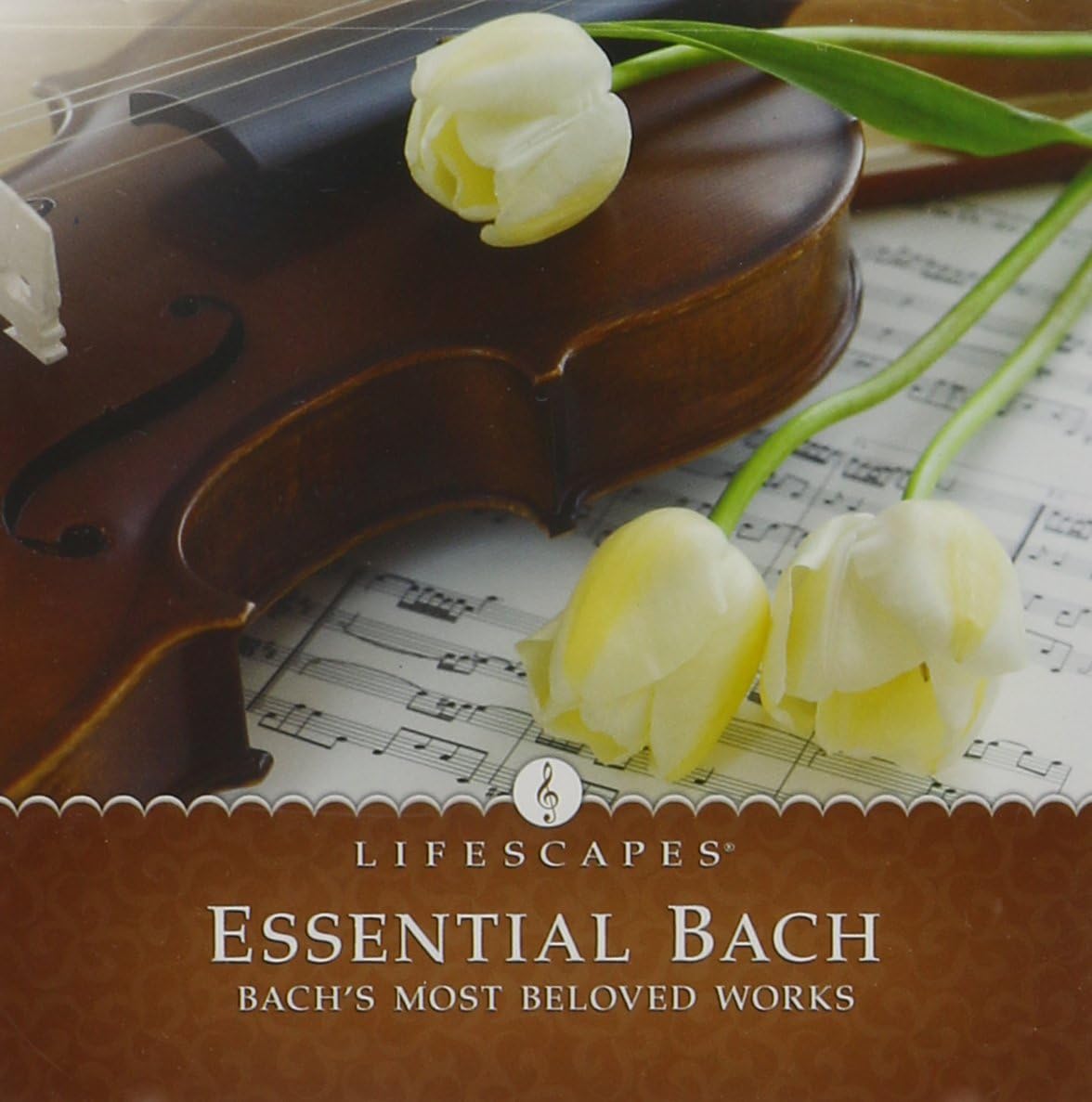 Essential Bach: Amazon.co.uk: CDs & Vinyl
