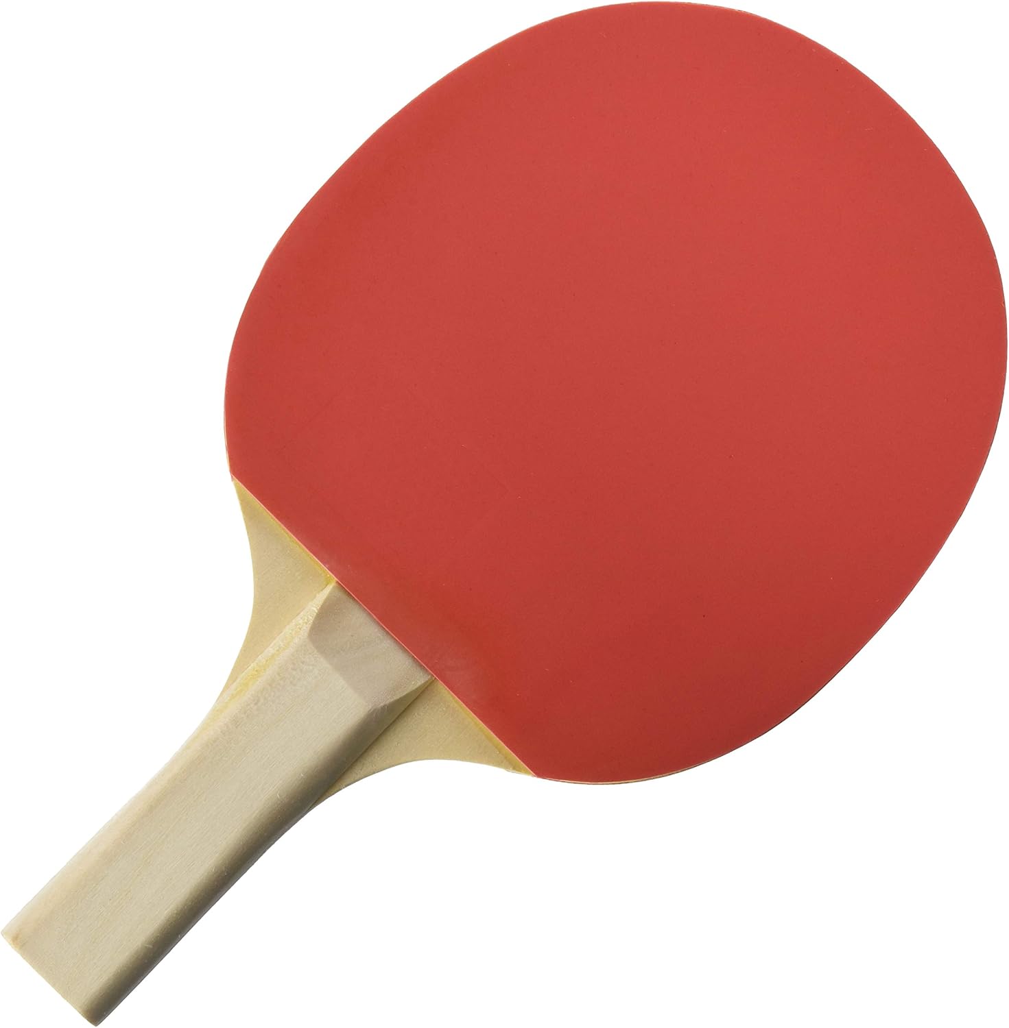 Amazon.com: BSN Sports Deluxe Sponge Rubber Paddle : Sports & Outdoors