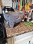 Amazon.com: Made in Mexico Genuine Mexican Manual Guacamole Salsa Maker ...