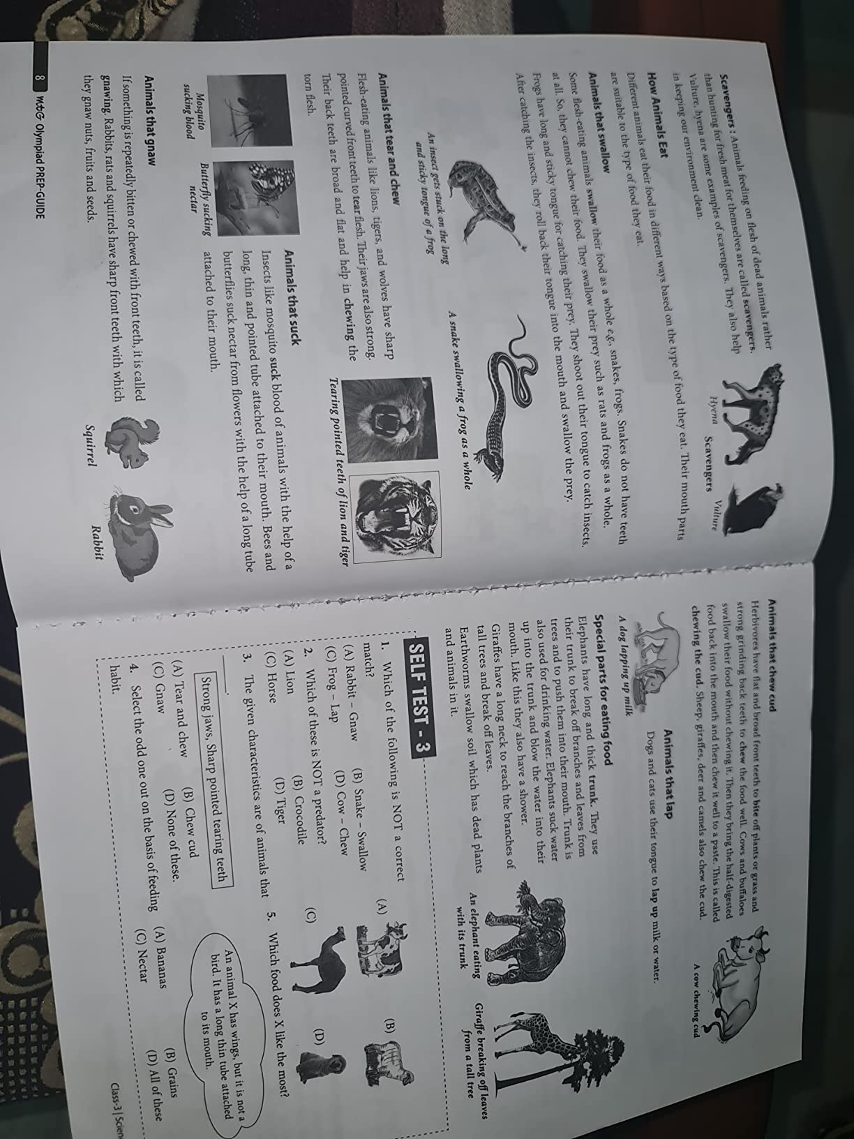Buy Olympiad Prep-Guide Science Class - 3 Book Online at Low Prices in ...