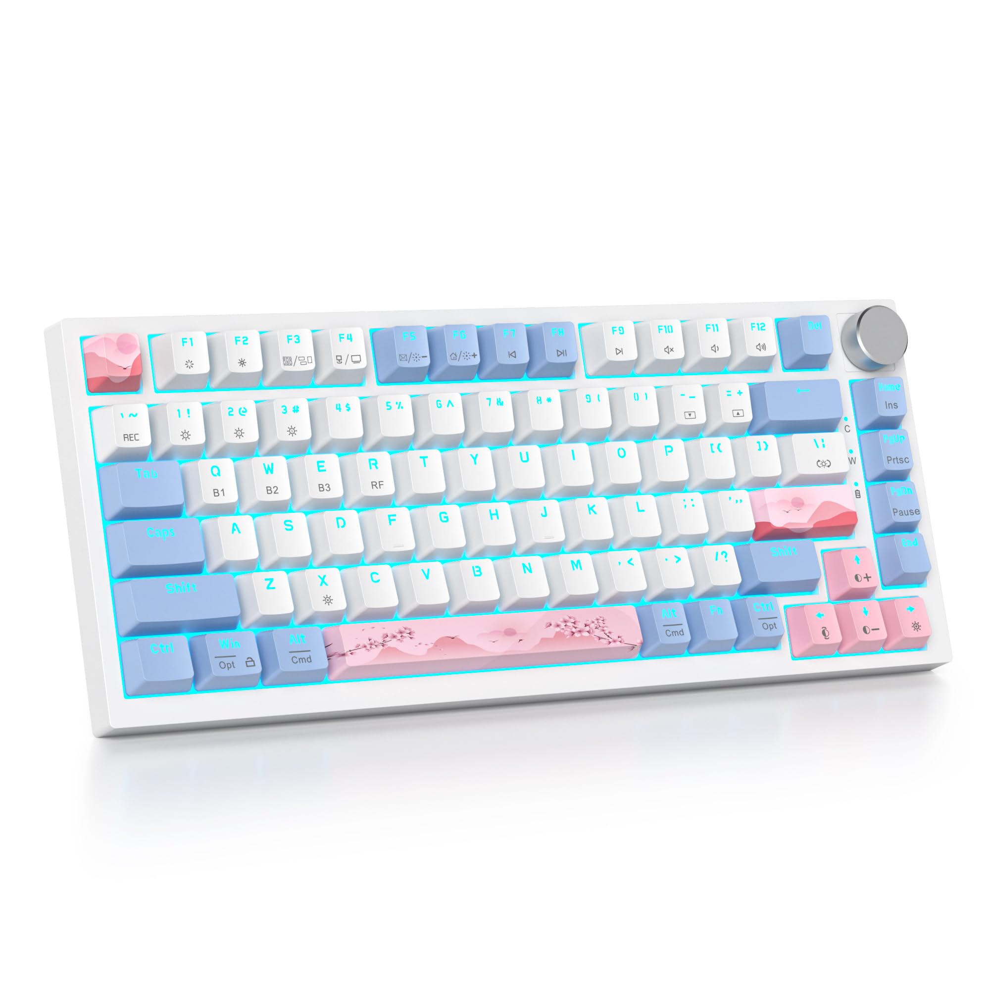 Amazon.com: SbocKeeb 75% Wireless Creamy Pink Mechanical Keyboard, Hot ...