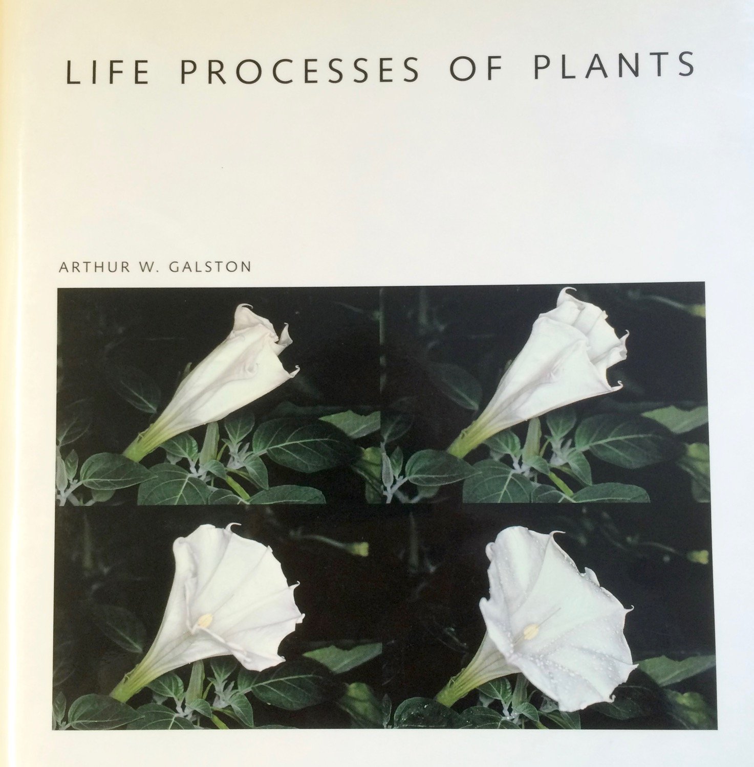 Amazon | Life Processes of Plants (Scientific American Library ...