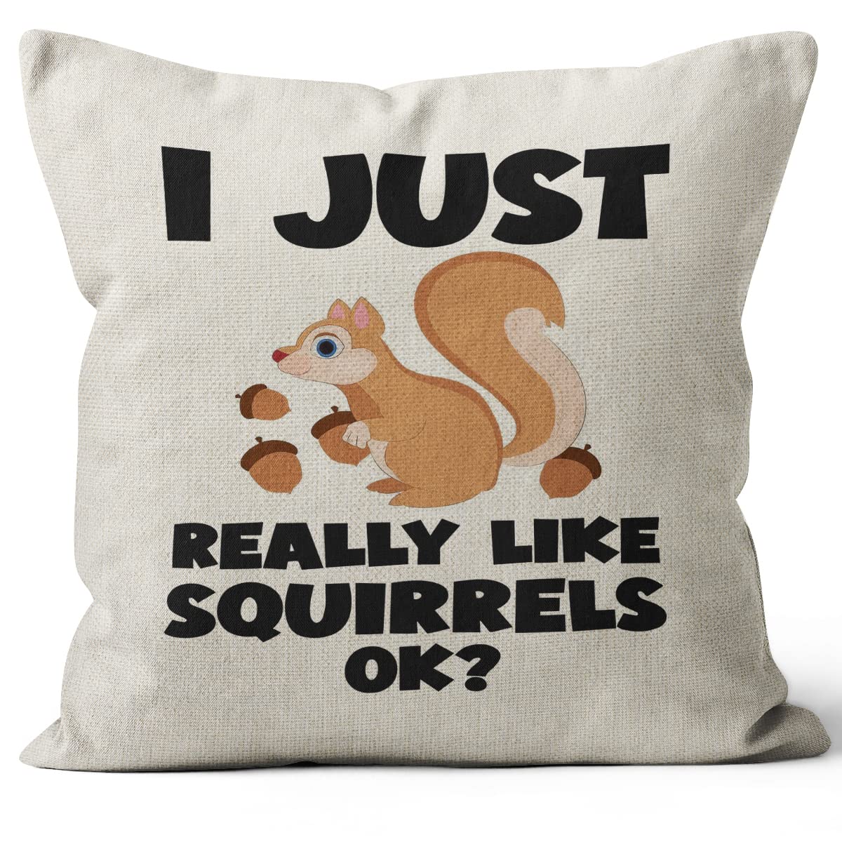 Amazon.com: M-Qizi Squirrel Decor Pillow Covers - Squirrel Gifts for ...