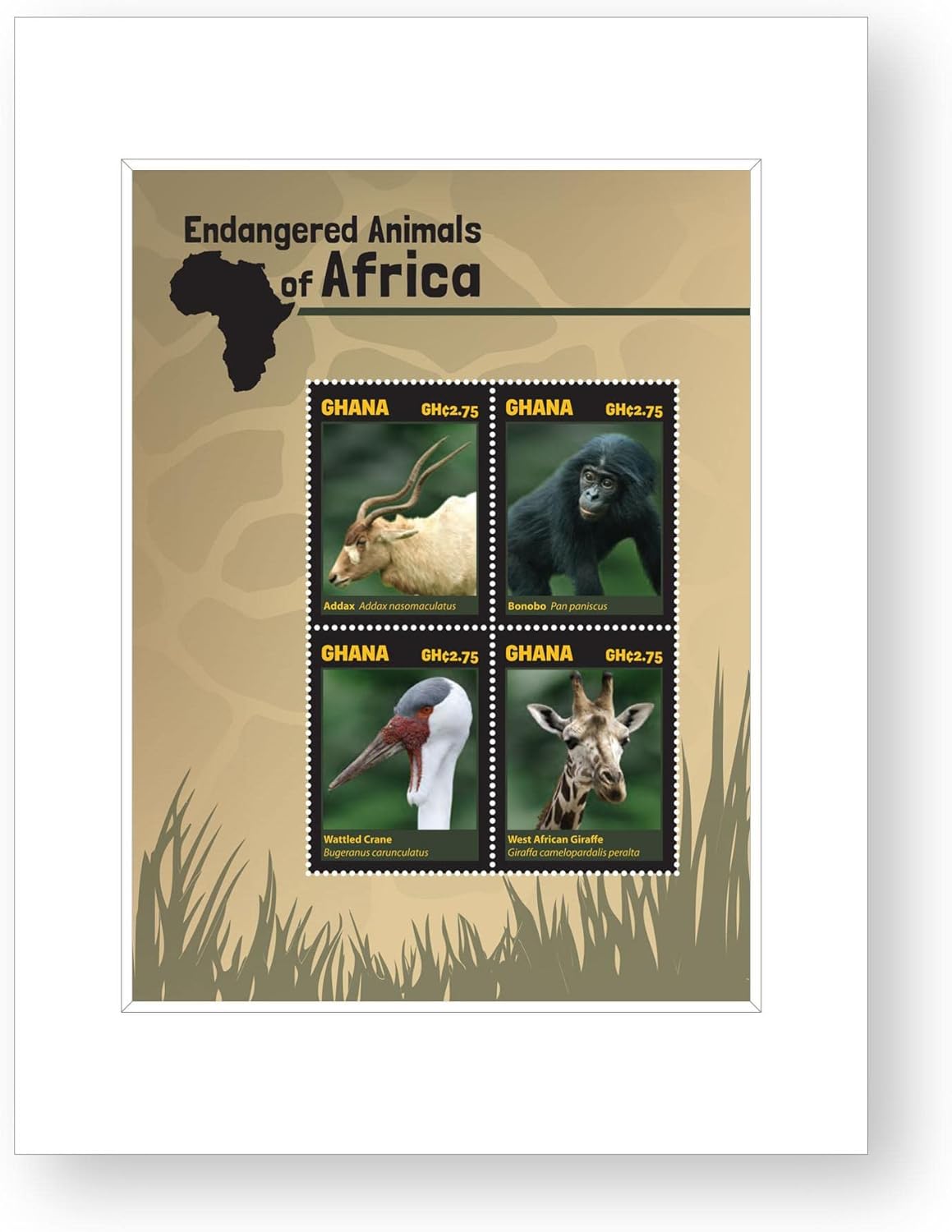 Amazon.com: Imperial Mint Ghana Endangered Animals of Animals Reproduction Matted Postage Stamp ...
