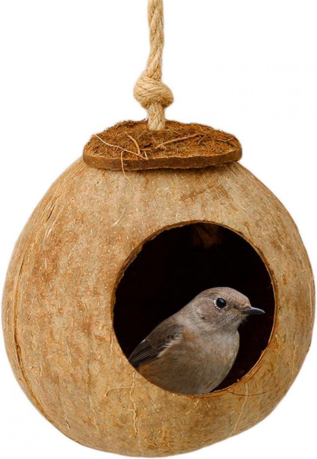 Amazon.com: EKDJKK Bird House with Coconut Woven Straw, Natural Coconut ...