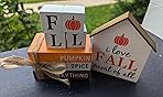 Amazon.com: Fall Decorations Pumpkin Decor Faux Books, 8 Pcs Fall ...