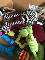 Zenify Puppy Dog Toys Gift Box - Pet Interactive Dog Rope Toy Starter ...