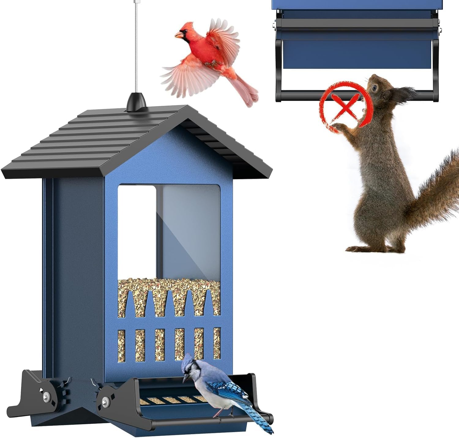 Amazon.com : Squirrel-Proof Window Bird Feeder with 4 Suction Cups and ...