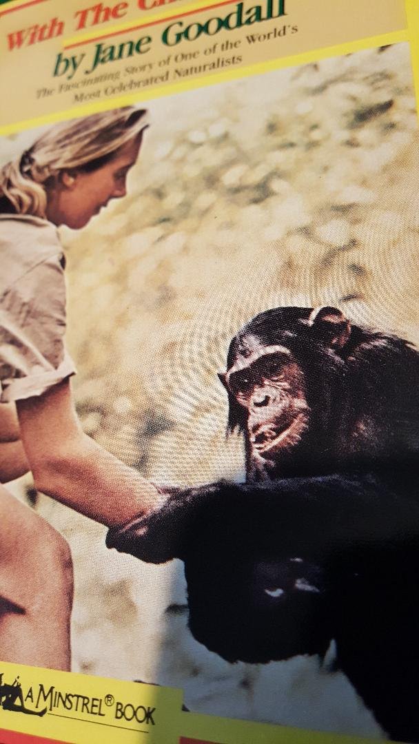 MY LIFE WITH THE CHIMPANZEES: Goodall, Jane: 9780671660956: Amazon.com ...