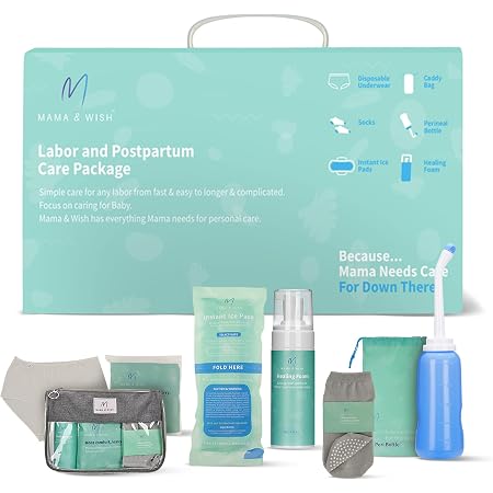 Amazon.com: Lansinoh Postpartum Essentials Recovery Bundle, Postpartum ...