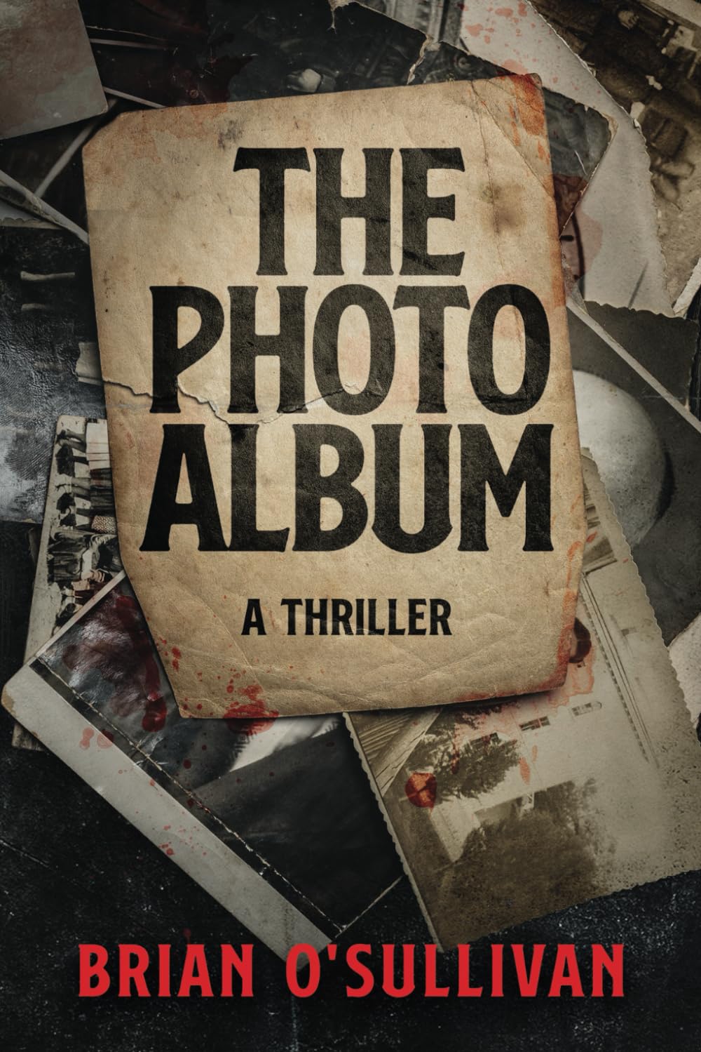 Amazon.com: The Photo Album (Bobby McGowan Thrillers): 9798985383041: O ...