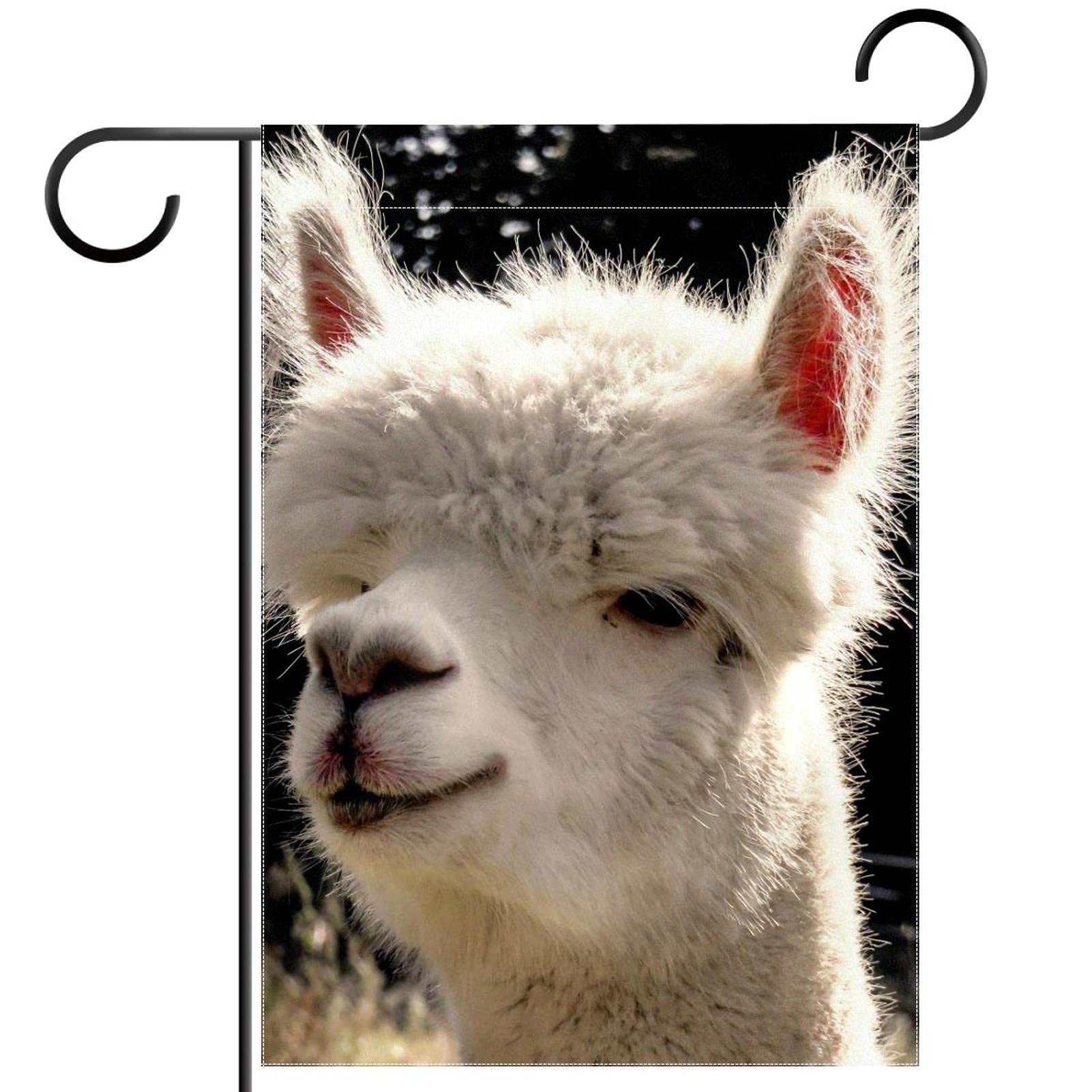Alpaca Flag