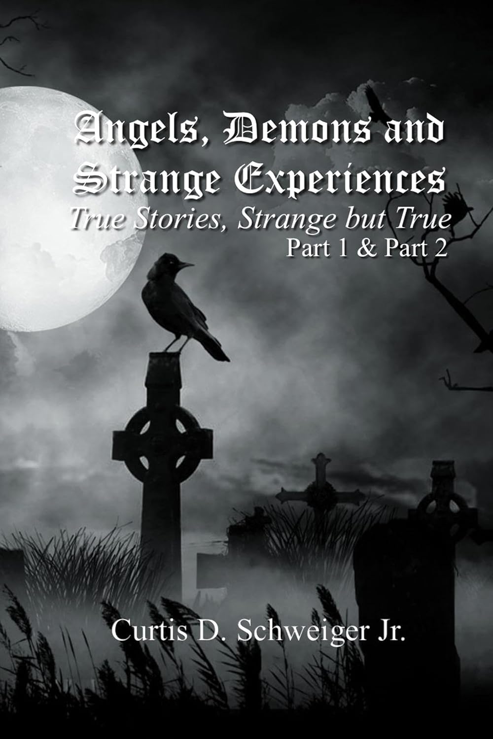 Amazon.com: "Angels Demons And Strange Experiences" Part 1, 2, (Part1,2 ...