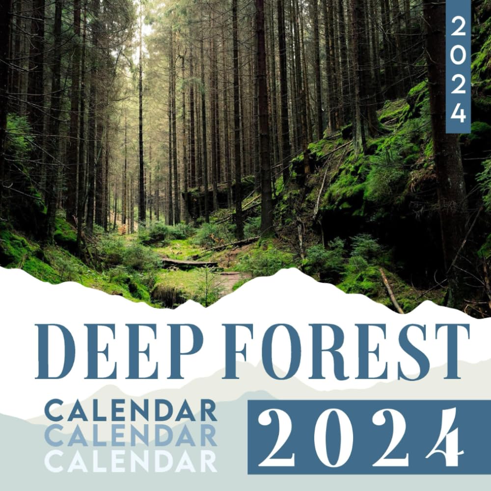 Deep Forest Calendar 2024: 18 Month Relax Calendar 2024 From January to ...